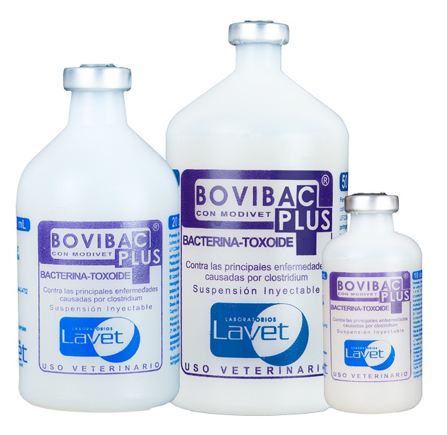 VACUNA BOVIBAC PLUS | El Rejo Web